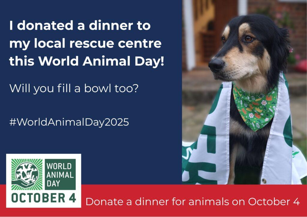 Celebrate 100 Years Of World Animal Day By Donating A Dinner To Animals ...